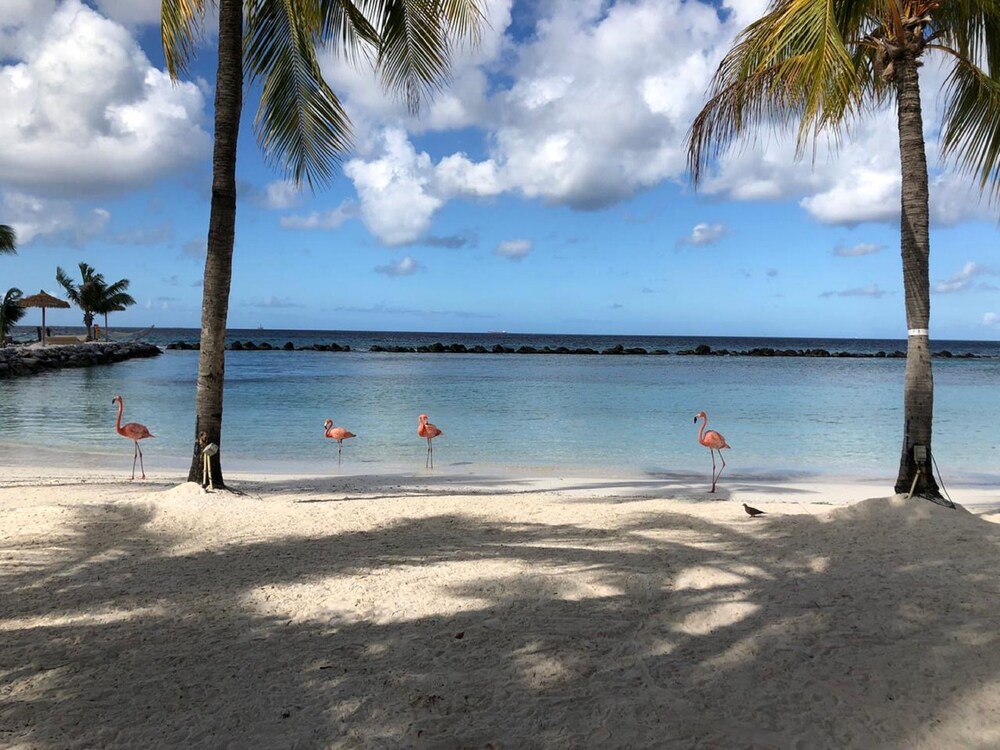 Book Renaissance Wind Creek Aruba Resort in Oranjestad | Hotels.com