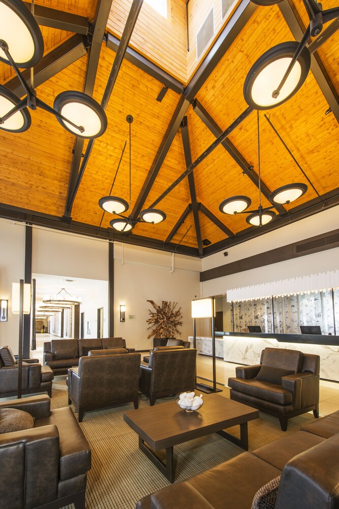 Book Rodd Miramichi in Miramichi | Hotels.com