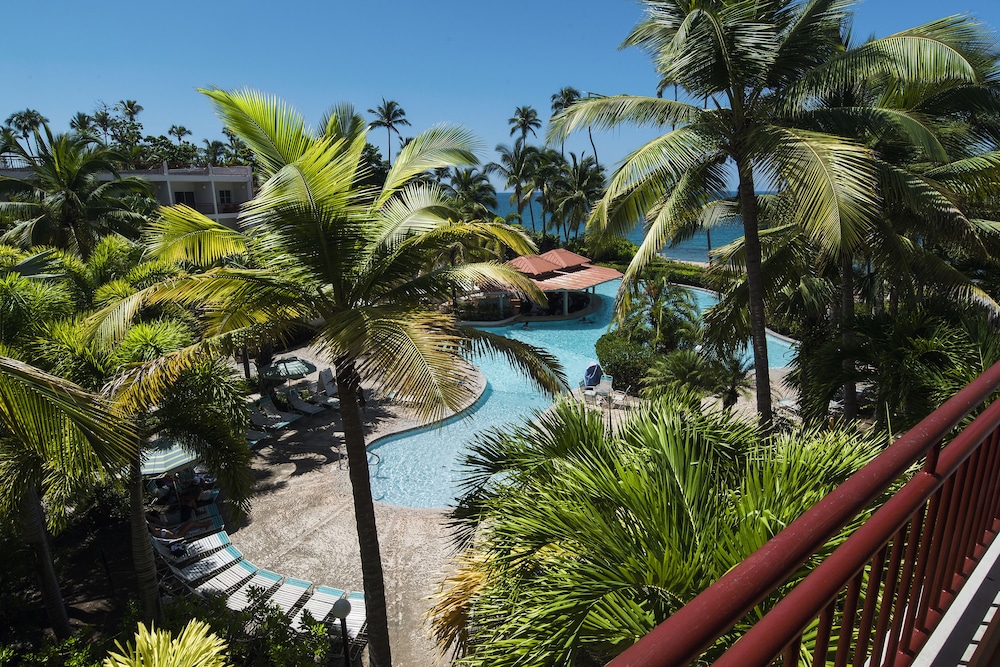 Rincon of the Seas - Grand Caribbean Hotel (Rincón, Puerto Rico ...