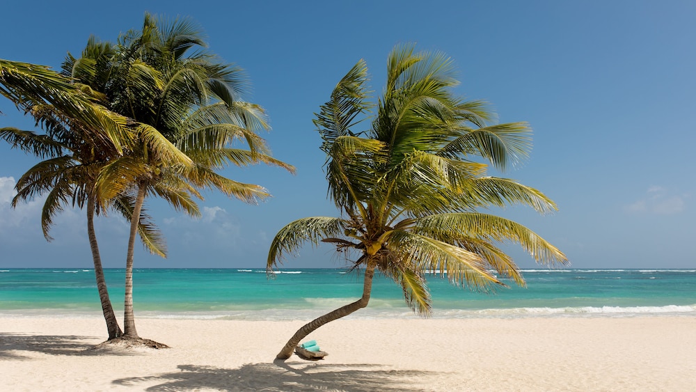 Mukan Resort, South of Tulum (Punta Allen, México) : Hoteles en Punta ...