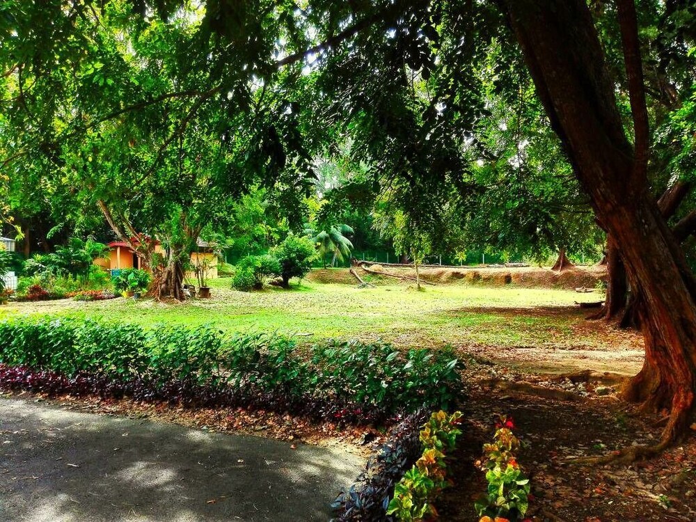 Book Mersing Merlin Inn in Mersing | Hotels.com