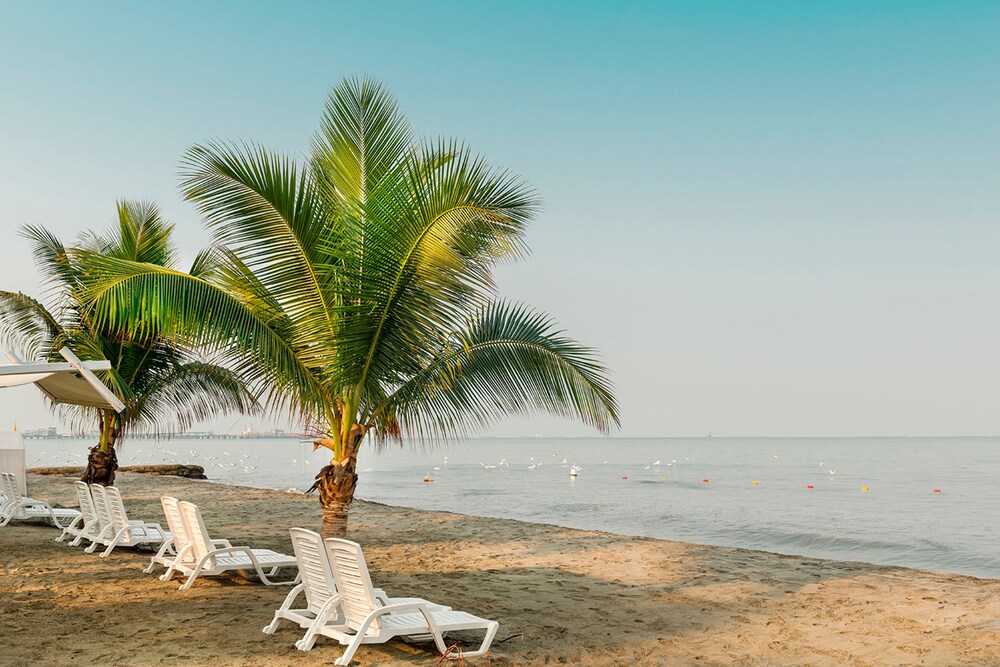 Book Decameron Galeon - All Inclusive in Santa Marta | Hotels.com