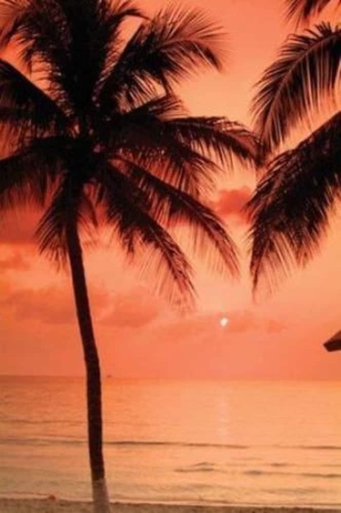 Book Sunset at the Palms Resort - Adults Only - All Inclusive in Negril ...