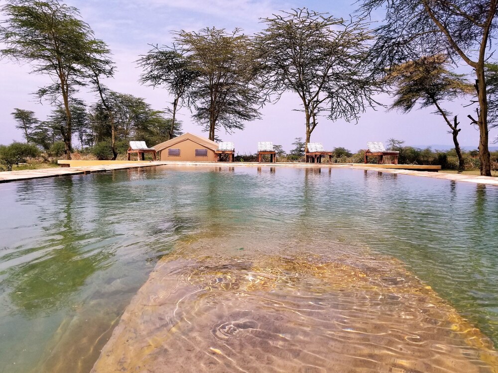 Africa Safari Lake Manyara - Parc national du lac Manyara - Hotels.com