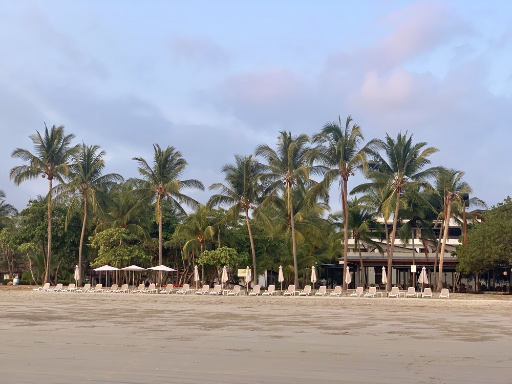 Book Azura Beach Resort - All Inclusive - Adults Only in Samara ...