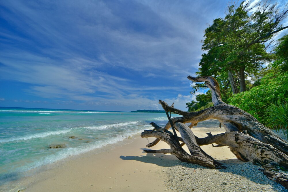 Book Sea Shell Samssara in Neil Island | Hotels.com