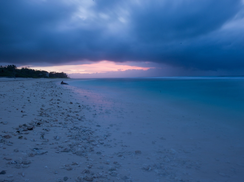 Book Tamanu on the Beach in Teouma | Hotels.com